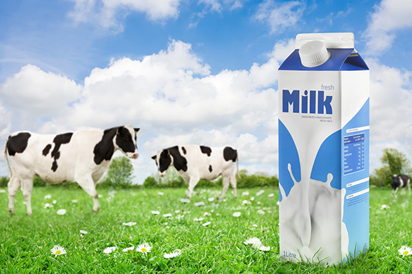 Fun Dairy Facts Everyone Should Know - Ageful Fun Dairy Facts Everyone Should Know - Ageful